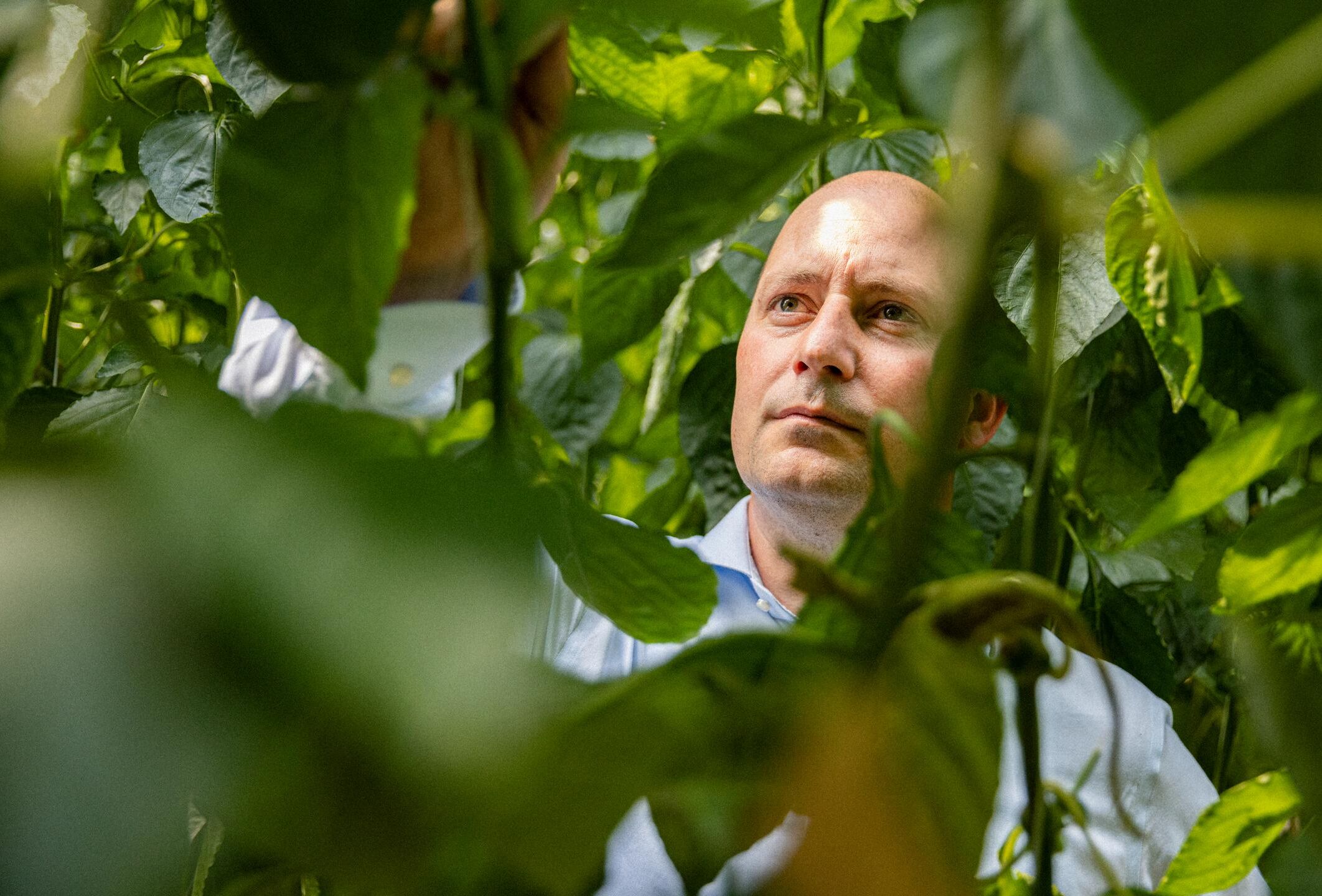 Extraordinaria gama de soluciones con ácaros depredadores gracias a la ...