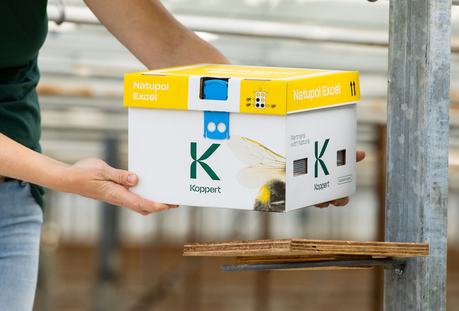 Colmenas de abejorros de Koppert: nueva imagen con la calidad de ...