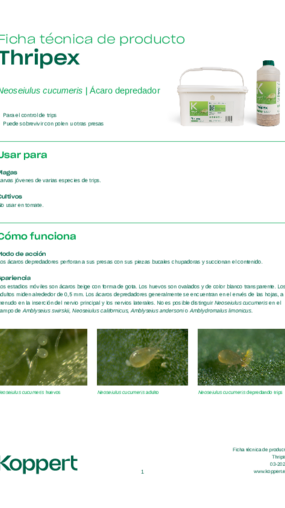 Descargas | Koppert España