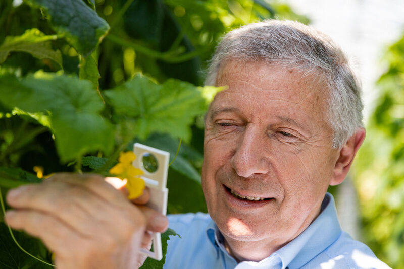 Cómo un pequeño ácaro depredador sentó las bases del biocontrol actual