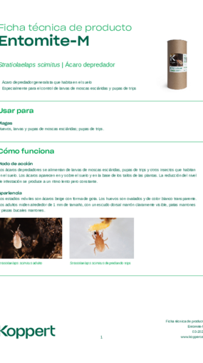 Descargas | Koppert España