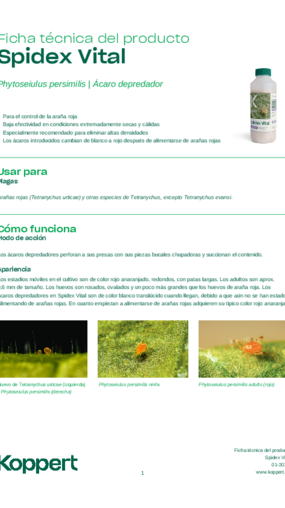 Descargas | Koppert España