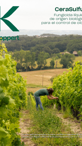 Descargar | Koppert España