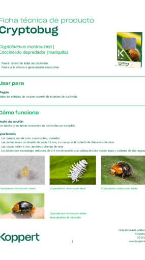 Descargas | Koppert España