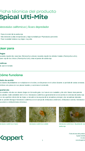 Descargas | Koppert España