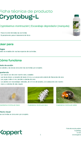 Descargas | Koppert España